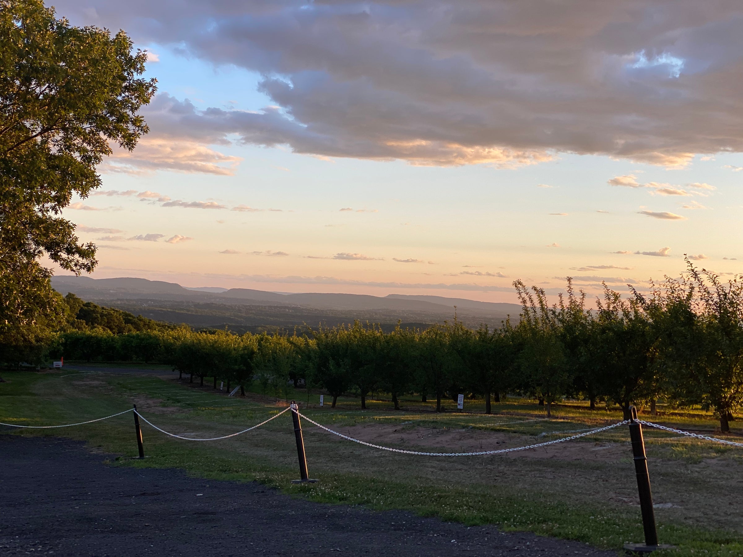 Home | CrystalRidgeWinery